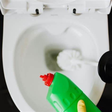 Comment D Tartrer Les Wc Naturellement Et Efficacement