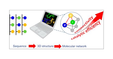 Sequence Rules The Functional Connections And Efficiency Of Catalytic Precision Oligomers Acs