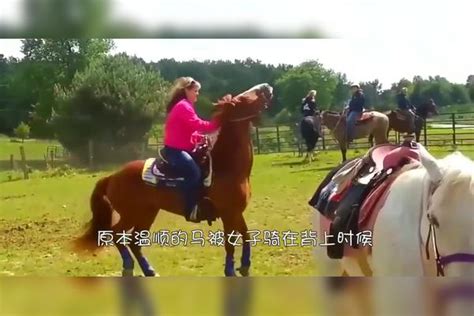 马儿不满骑在身上的女子，忽然一个后空翻，镜头记录全过程女子全过程镜头
