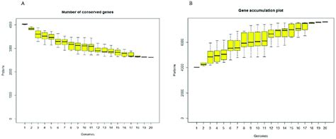 Core Genome And Pan Genome Of M Tuberculosis In Lineages 1 4 Based On