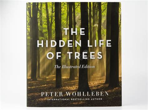 The Hidden Life Of Trees Book Written By Peter Wohlleben Isolated On