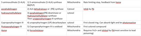Heme Flashcards Quizlet