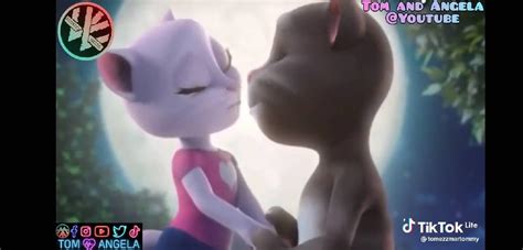 مجموعه فاكه