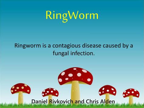 Ppt Ringworm Powerpoint Presentation Free Download Id 2373081