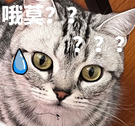 姨姨们 表情包请查收