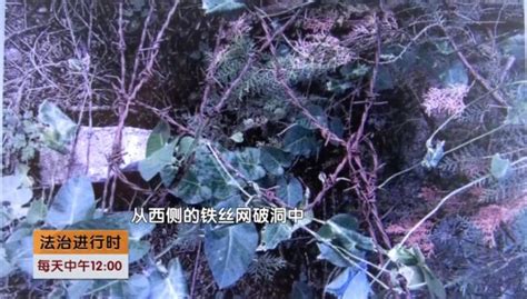 【以案普法】男子“私闯”球场溺亡，谁应担责？法院判了！澎湃号·政务澎湃新闻 The Paper
