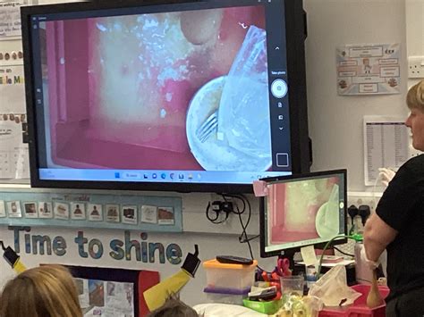 Year 6 Gallery Analysis Wombwell Park Street Primary
