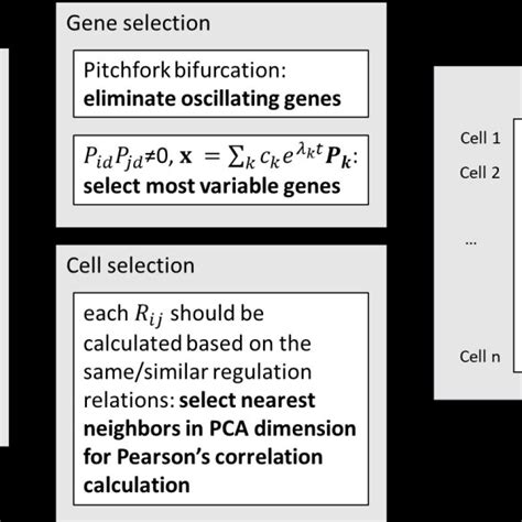 Analysis Framework Meta Cells Are Generated Through Normalized And