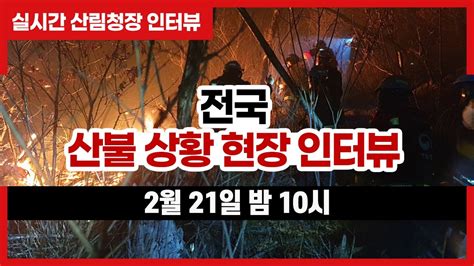 전국산불상황 산림청장 현장 인터뷰 2월 21일 22시 Youtube