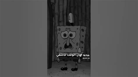 سبونج بوب سكوير بانس Youtube