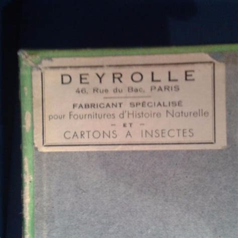 Proantic Entomologist Box Butterflies Maison Deyrolle Circa 1950