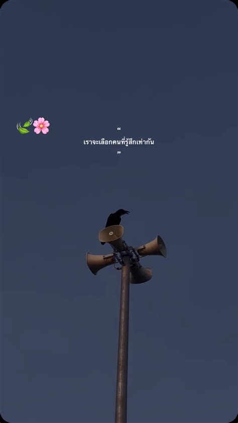 ไนซ์ น๊องงแน๊งง ความสัมพันธ์ไม่เดินหน้าแล้วไม่ถอยหลังง 😂 เธรดความ