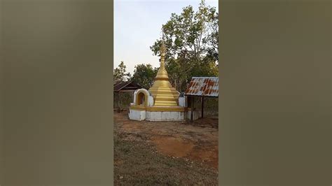 စိတ်အေးချမ်းဖွယ် တောတွင်း စေတီလေး Youtube