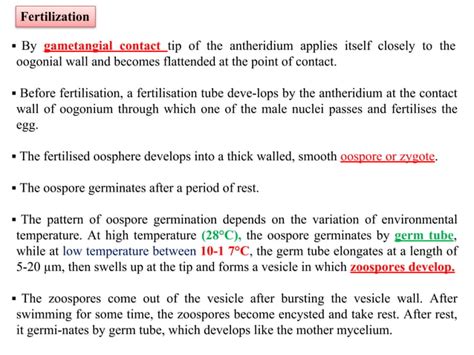 Ppt Presentation For B Sc I Life Cycle Of Pythium 1 Pdf