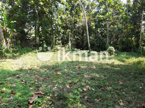 Land For Sale Payagala Ikman