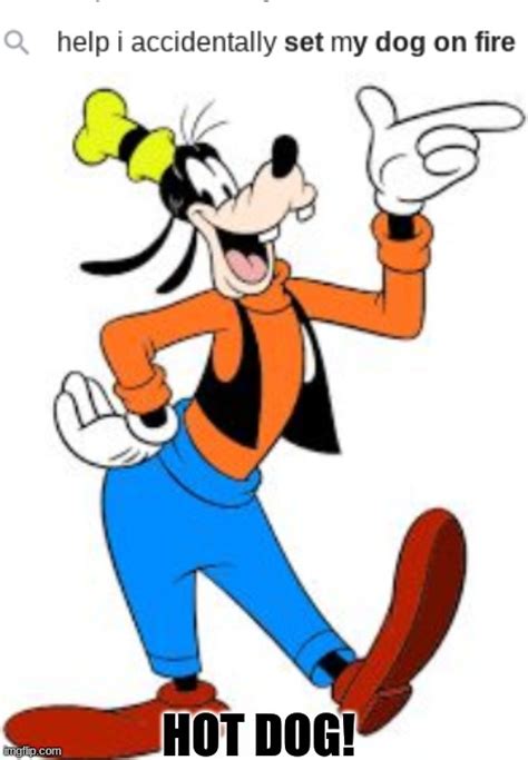 Goofy Donald Memes
