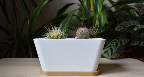 Rectangular Plant Saucer Arthimoth