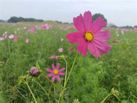 🍂秋といえば🍂 株式会社三郷トレーディング 販売サイト