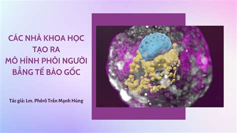 CÁc NhÀ Khoa HỌc TẠo Ra MÔ HÌnh PhÔi NgƯỜi BẰng TẾ BÀo GỐc Giáo Phận