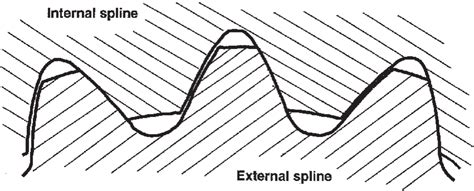 Schematic Diagram Of The Cross Section Of A Spline Tooth Pair Looking