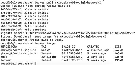 Ncp에 Vpc And 인스턴스 구성 Db 설치 및 설정 Docker 이미지 생성 및 관리 Nginx 설정 Docker