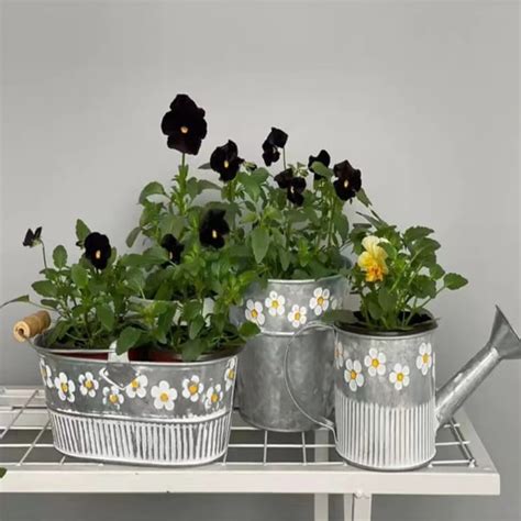 Havejern Spand Plante Kurv Blomsterpotte Plantekasse Tørret Blomster