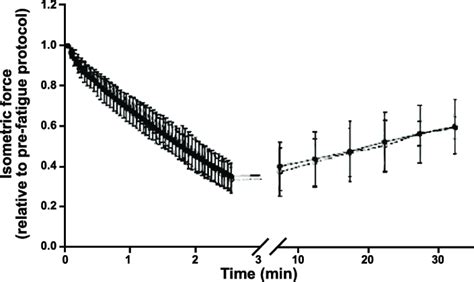 Effects Of Simvastatin On Muscle Endurance Changes In Isometric Force
