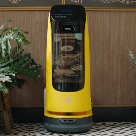 Groomy Robot Guide Evotion Leader De La Location De Robots Pour Vos