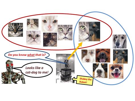 How To Represent Knowledge Using Set Theory Learning Machines