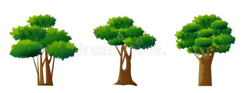Set Of Three Cartoon Trees Stock Vector Illustration Of Color 302537383 Set Of Three Cartoon Trees Stock Vector Illustration Of Color 302537383