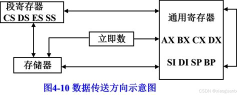 scau 华南农业大学汇编语言考试重点 csdn博客