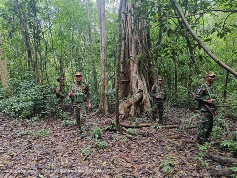 កងទ័ កងទ័ពជើងគោកនៃកងយោធពលខេមរភូមិន្ទ Royal Cambodian Army