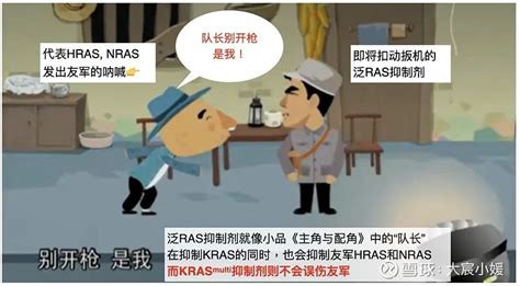 加科思 B 01167 Kras Multi和泛ras（pan Ras），这两种药物开发策略到底有什么区别？一篇今 雪球