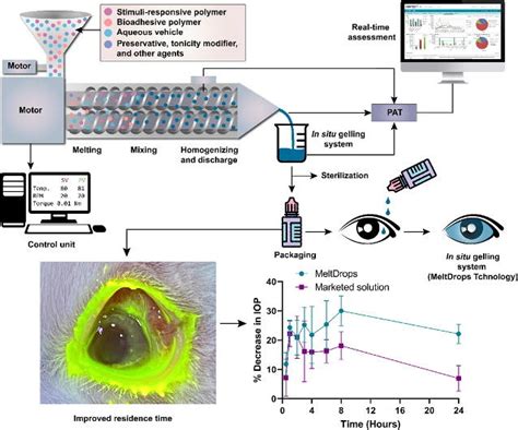 Hot Melt Extruded In Situ Gelling Systems Meltdrops Technology