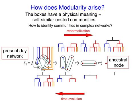 Ppt Scaling Renormalization And Self Similarity In Complex Networks Powerpoint Presentation