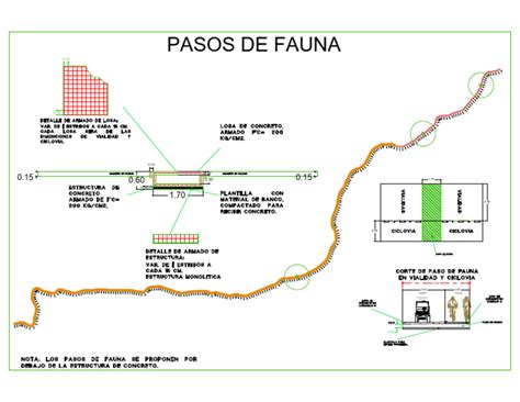 Pasos De Fauna Pdf