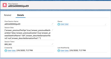 Using Serialization With Flow To Store Session Data And Enable Custom