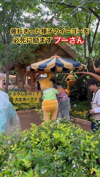 疲れきった様子のイーヨーを必死に励ますプーさん ディズニーランド プーさん イーヨー 上海ディズニーランド ディズニーシー Youtube