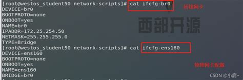 linux中的网络配置（ip地址，网关，dhcp，网桥） linux 网桥 dhcp服务 csdn博客