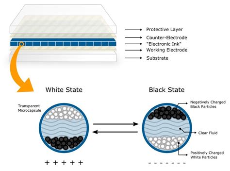 Schematic Illustration Of The Principle Behind Electrophoretic Display