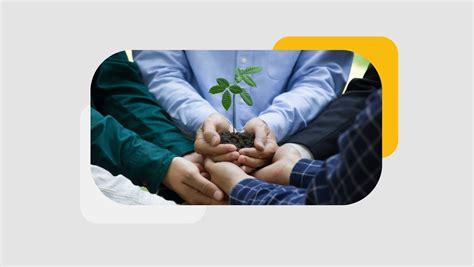 Innovating Sustainability Education With Gamification Inchainge