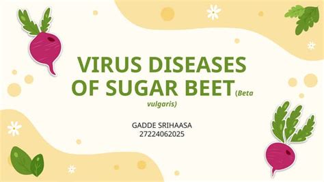 Virus Diseases Of Sugar Beet Virology Pptx