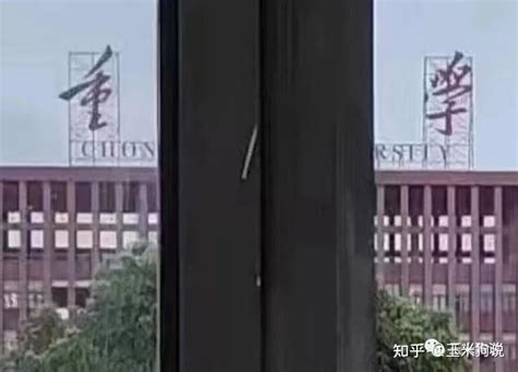 上了大学好后悔校友反省录 知乎