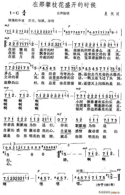 在那攀枝花盛开的时候 歌谱简谱网