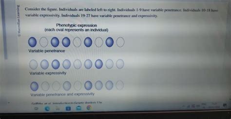 solved consider the figure individuals are labeled left to