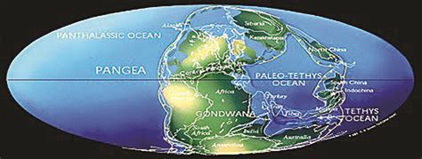 Blasdells Penn Dixie Will Partner With New Himalayan Park Fossil Park