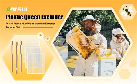 Marsui 6 Pcs Plastic Queen Excluder For 10 Frame Hive Wood