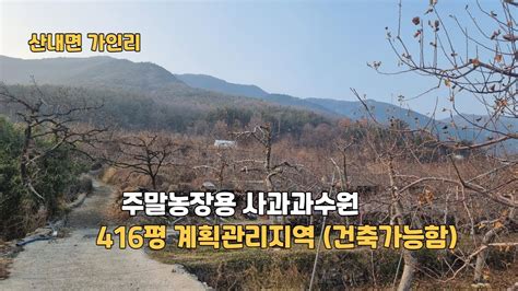 No368 산내면 가인리 주말농장 사과과수원 매매 밀양부동산 밀양토지 밀양전원주택지 밀양땅 밀양주말농장 밀양사과밭