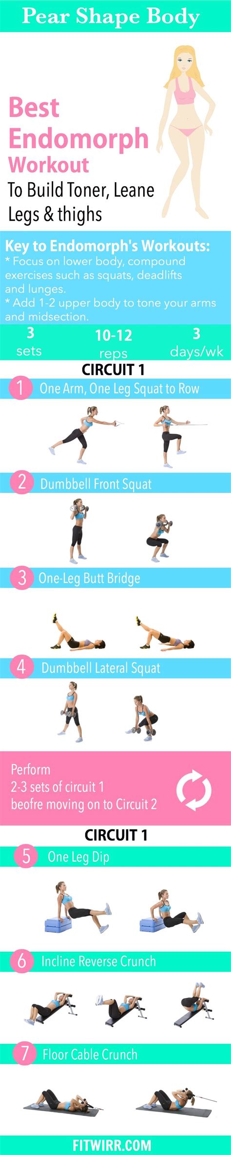 Endomorph Workout