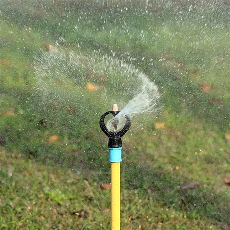 Garden Irrigation System Photo Background And Picture For Free Download